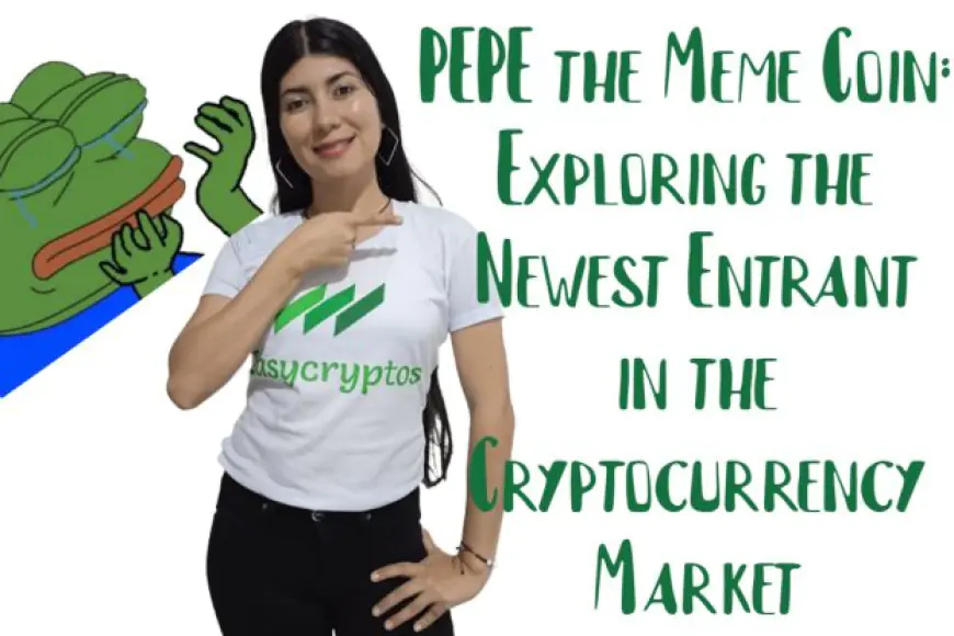 Exploring PEPE the Meme Coin: The New Entrant in the Cryptocurrency ...