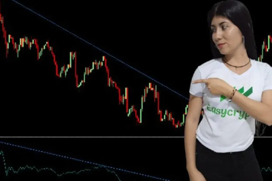 On Balance Volume (OBV): La clave del análisis técnico para identificar ...